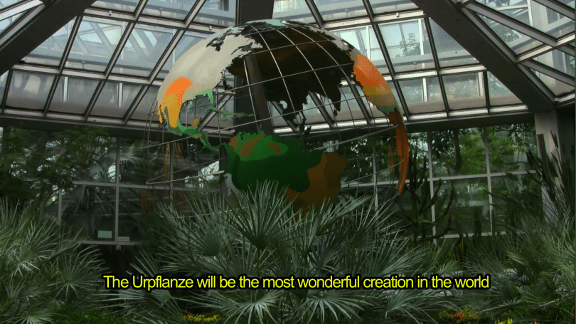 Transformism: new works by Melanie Jackson and Revital Cohen – Nicola ...