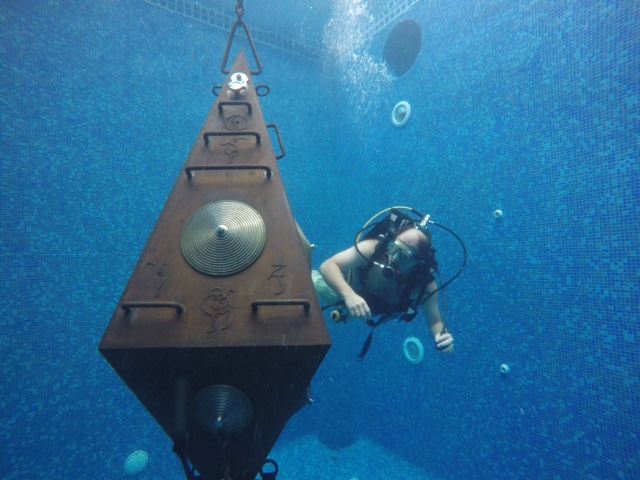 Nicola Triscott – Art, Science, Technology & Society